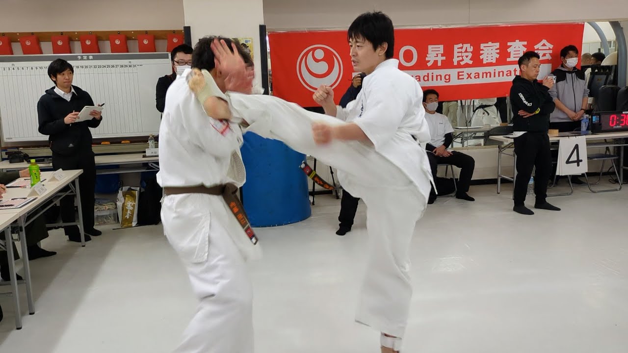 Shinkyokushinkai 2025 JKO: προαγωγικές εξετάσεις στο Kumite - Dojang Club